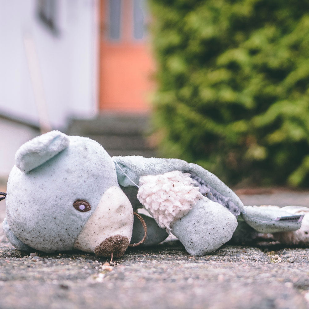 Shame- The hidden culprit behind every unhappy adult – Prodigi Kids